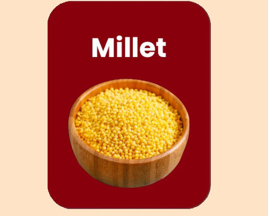 One Place Bazaar - Step into the Bazaar of Indian Flavours